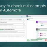 SharePoint Online & Power Platform King - Global SharePoint